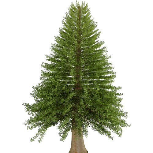 Pine Tree 3D model | CGTrader