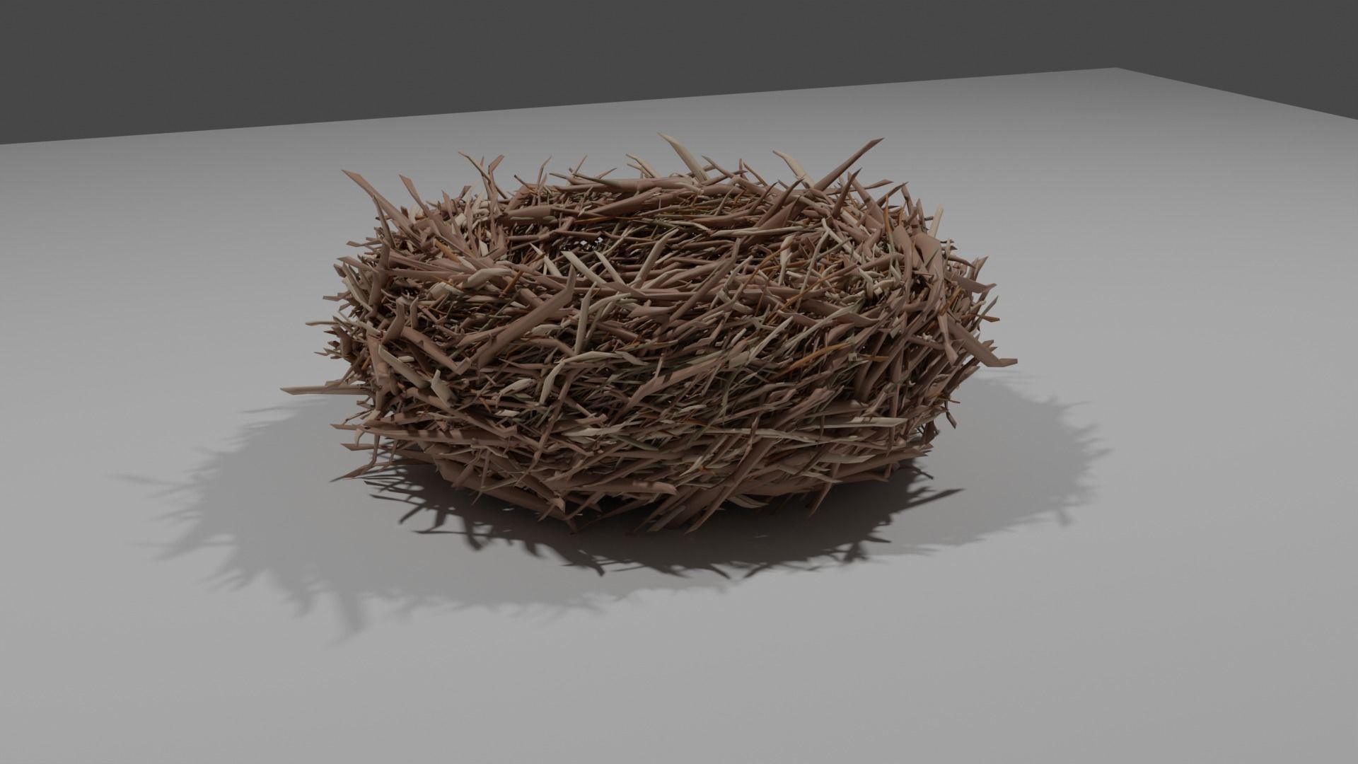 Realistic Bird nest 3D model | CGTrader