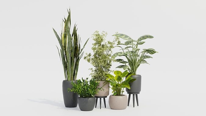 3D model Pots with Plants VR / AR / low-poly | CGTrader