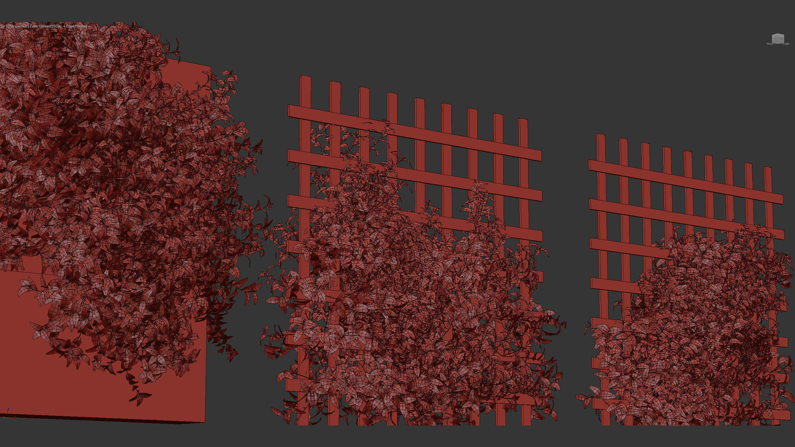 Tradescantia zebrina Wandering jew 3D Model 3D model | CGTrader