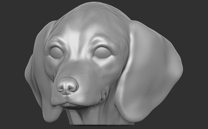 Puppy of Dachshund dog head for 3D printing 3D model 3D printable ...