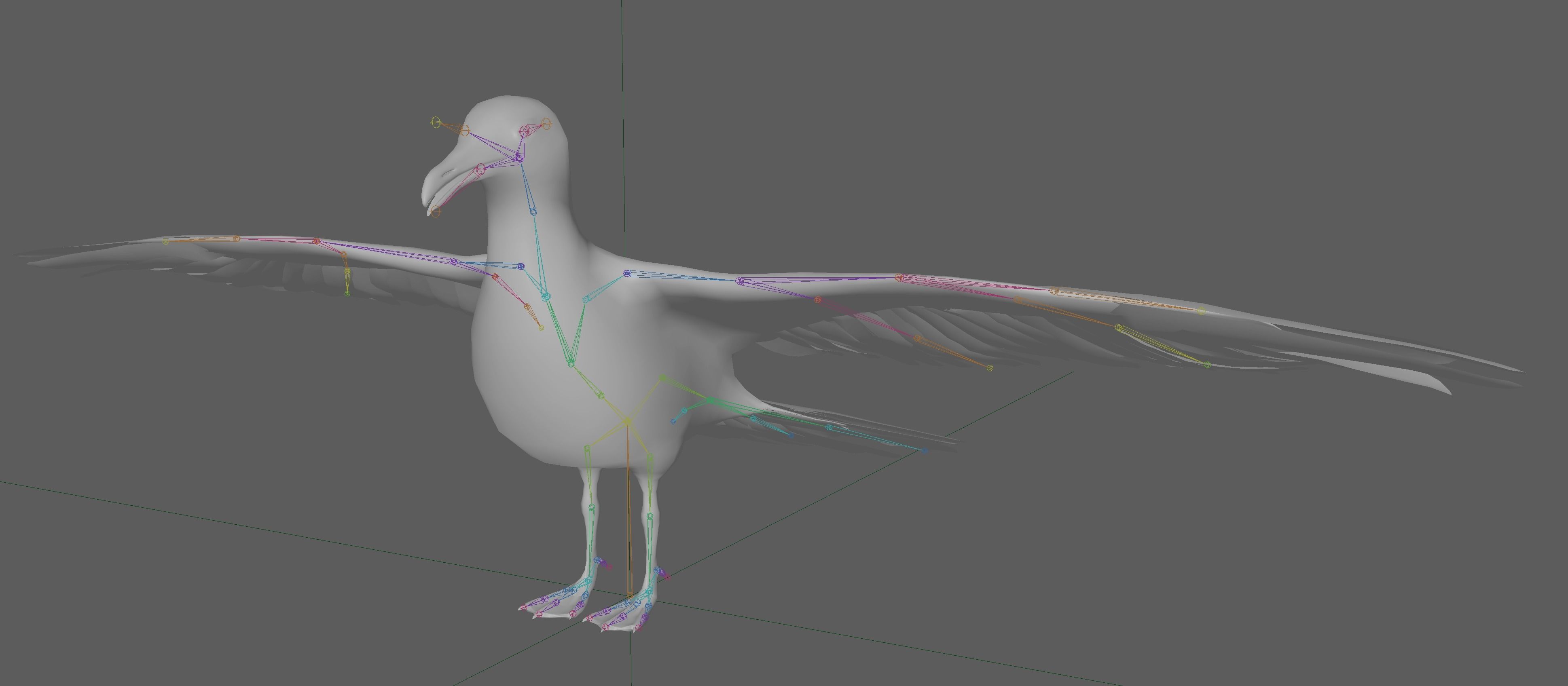 Seagull 3D model rigged | CGTrader