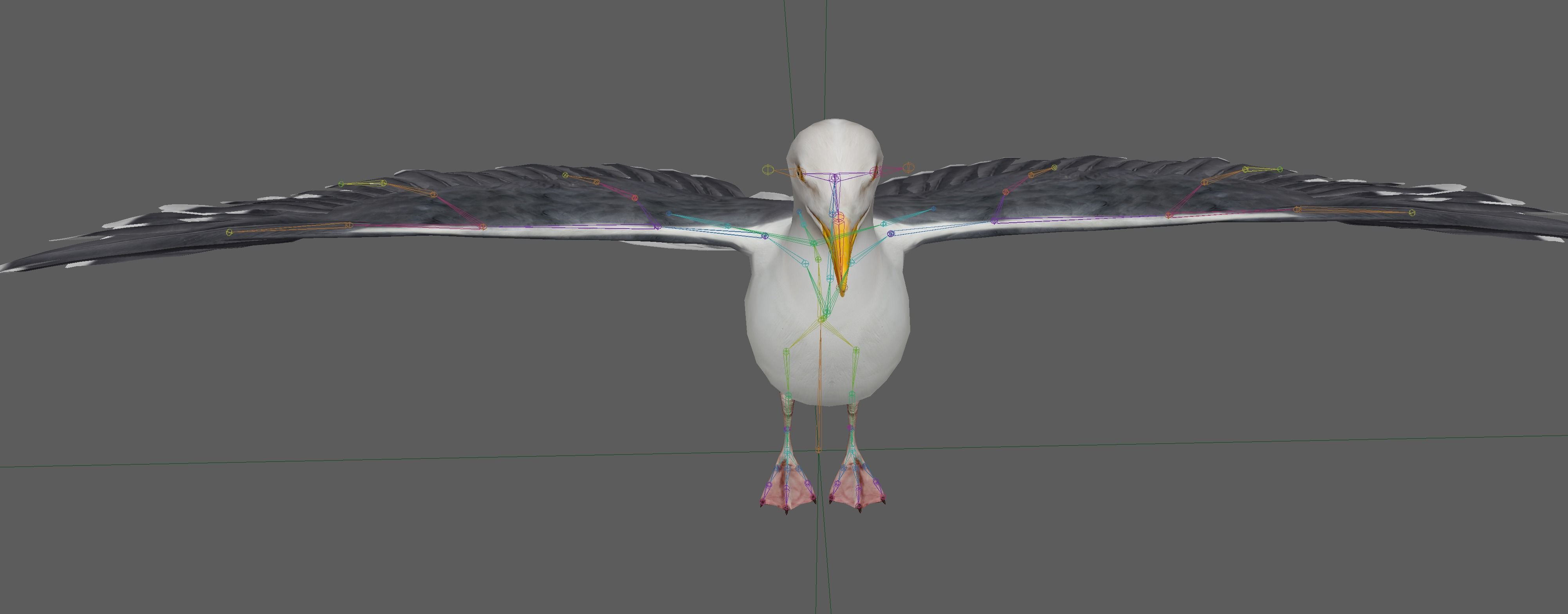 Seagull 3D model rigged | CGTrader