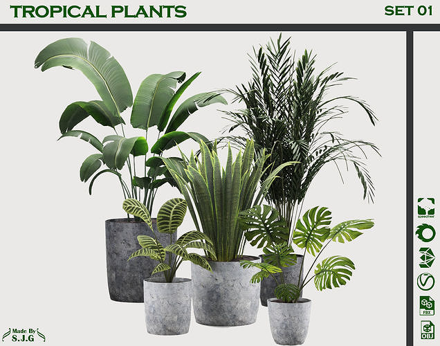 indoor plants collection of tropical plants set 01 3D model | CGTrader