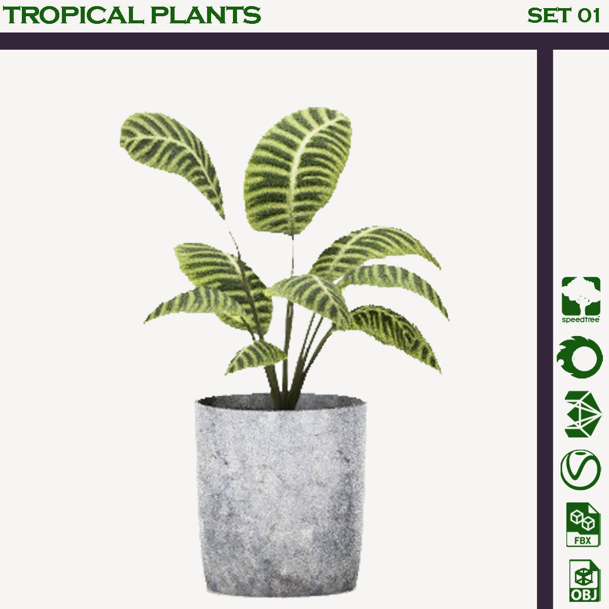 indoor plants collection of tropical plants set 01 3D model | CGTrader