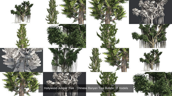 3D Model Collection Hollywood Juniper Tree - Chinese Banyan Tree Bundle ...