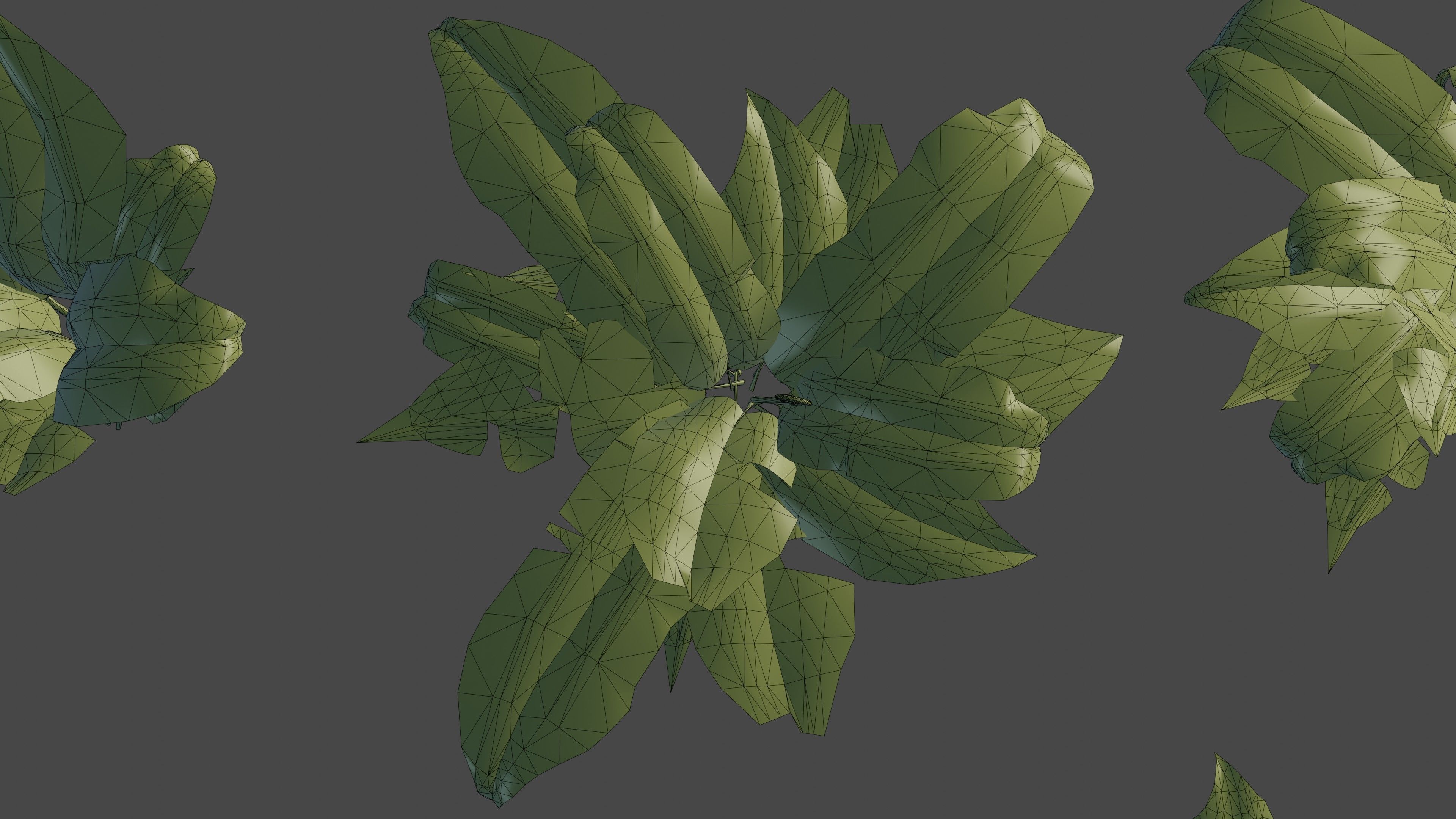 3D model Fern weed VR / AR / low-poly | CGTrader