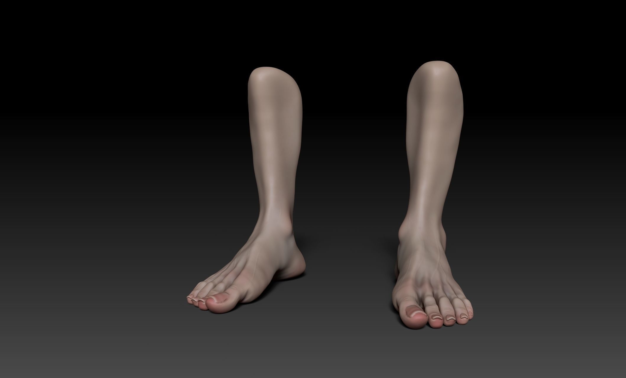 Female Pro Foot Sculpt Project 3D model | CGTrader