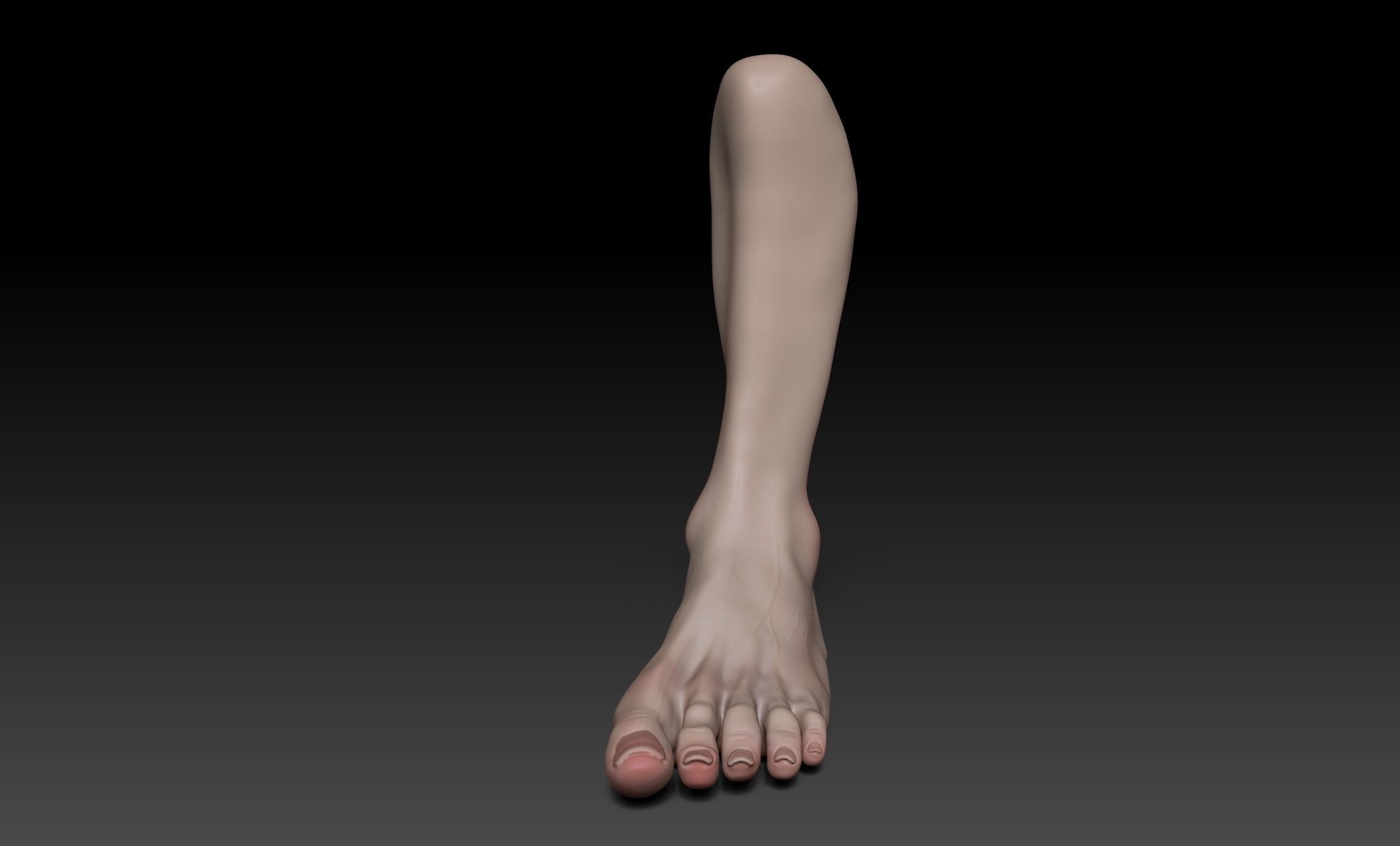 Female Pro Foot Sculpt Project 3D model | CGTrader