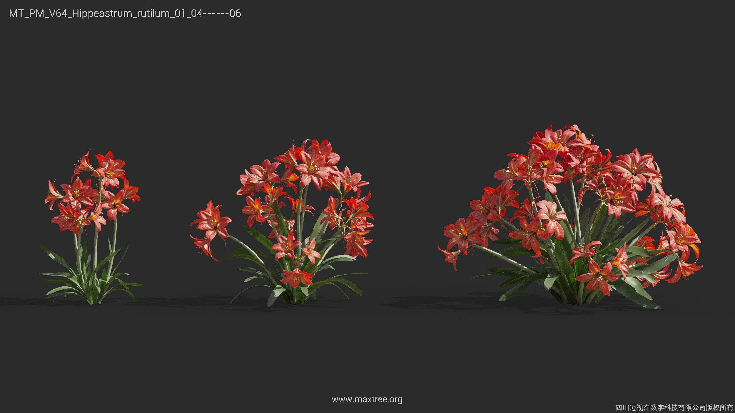 Maxtree Plant Models Vol 64 - Mesh 3D model | CGTrader