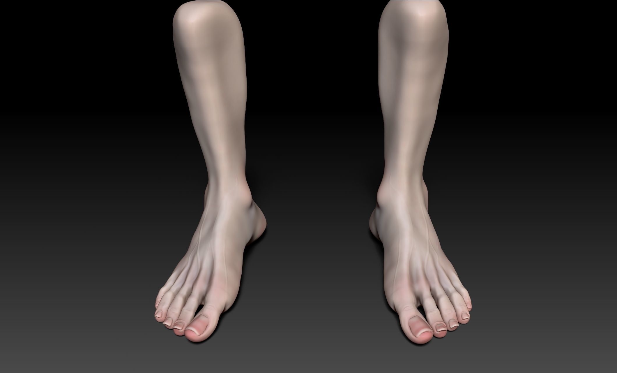 Female Pro Feet Heeled Shoes Sculpt Project 3D model | CGTrader