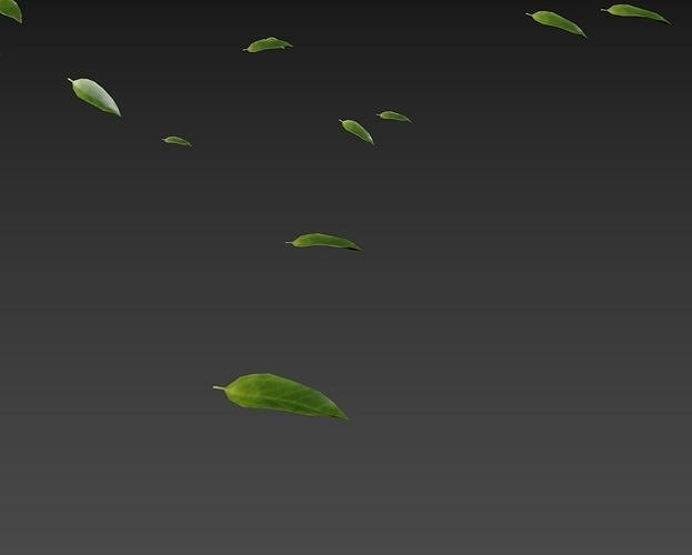 animated leaves blowing in the wing 3D model animated | CGTrader