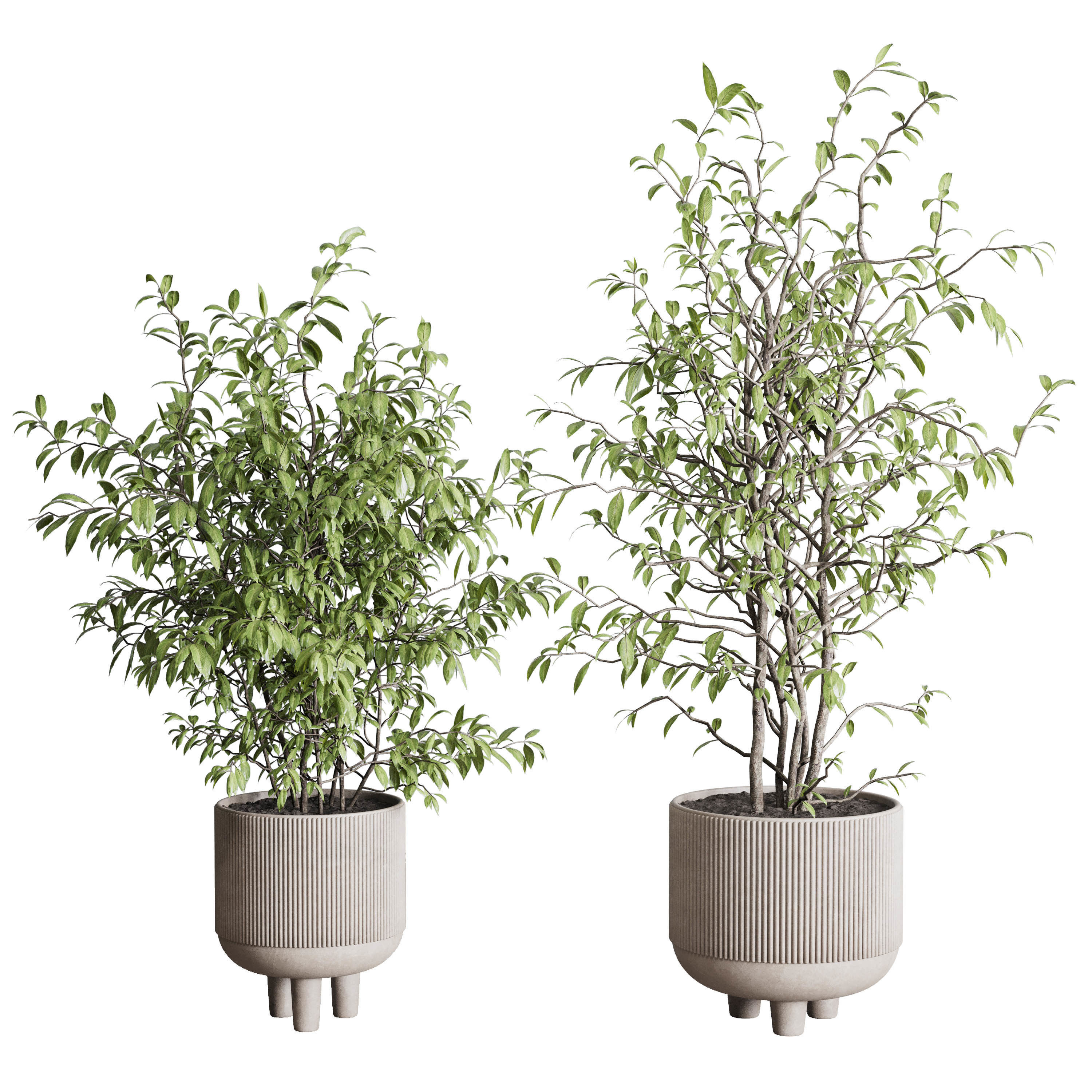 3D model Indoor plant set 371 concrete vase plant tree shrub VR / AR ...
