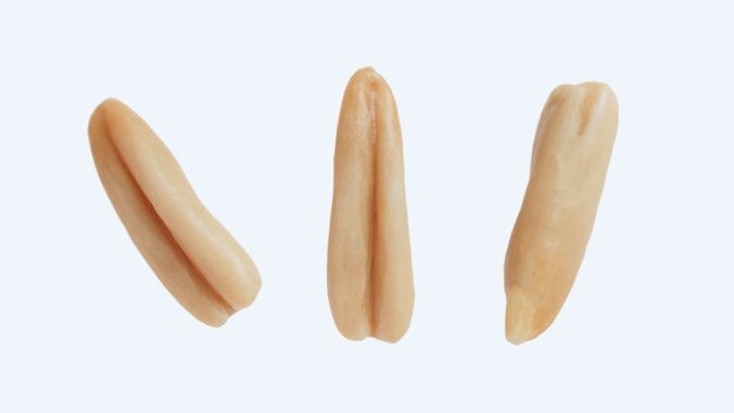 Oat Groat 3D Model 3D model | CGTrader