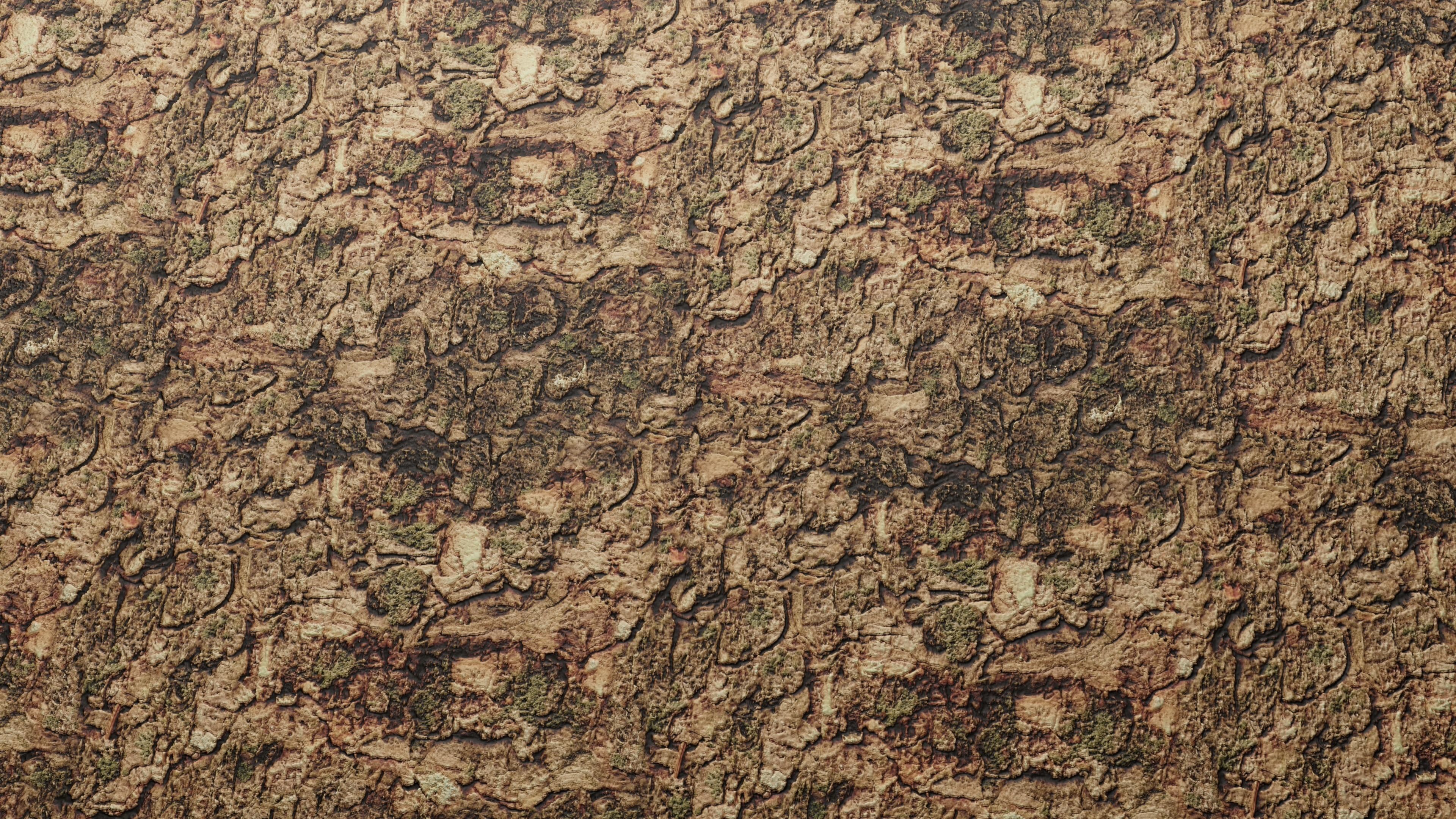 Tree Bark PBR Texture Texture | CGTrader