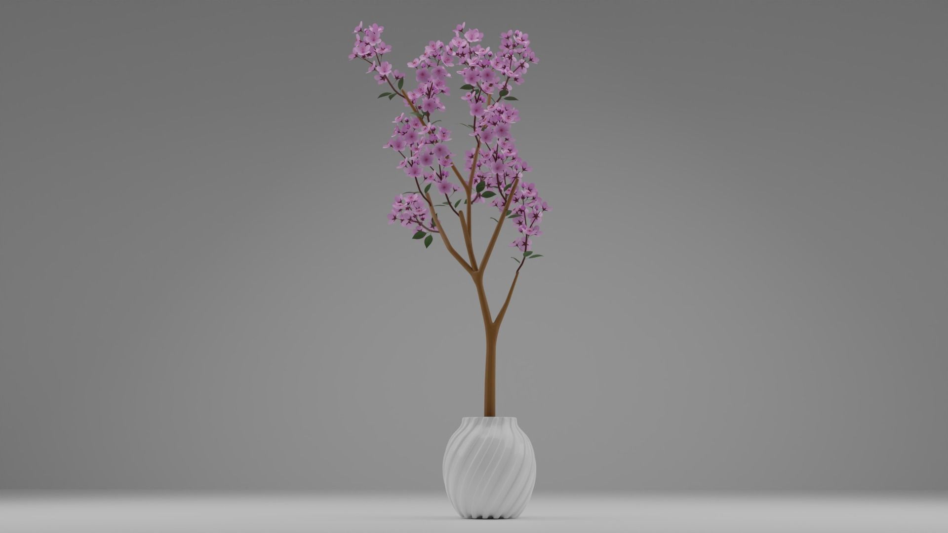 3D Cherry Blossom Tree 3D model | CGTrader