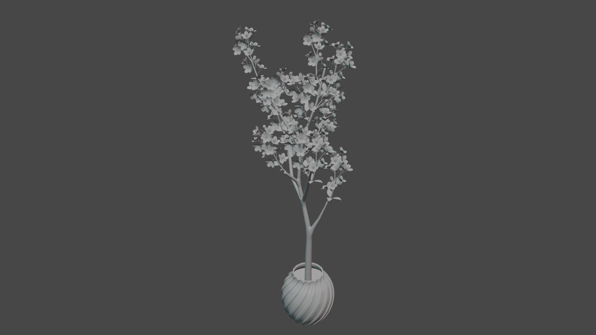 3D Cherry Blossom Tree 3D model | CGTrader