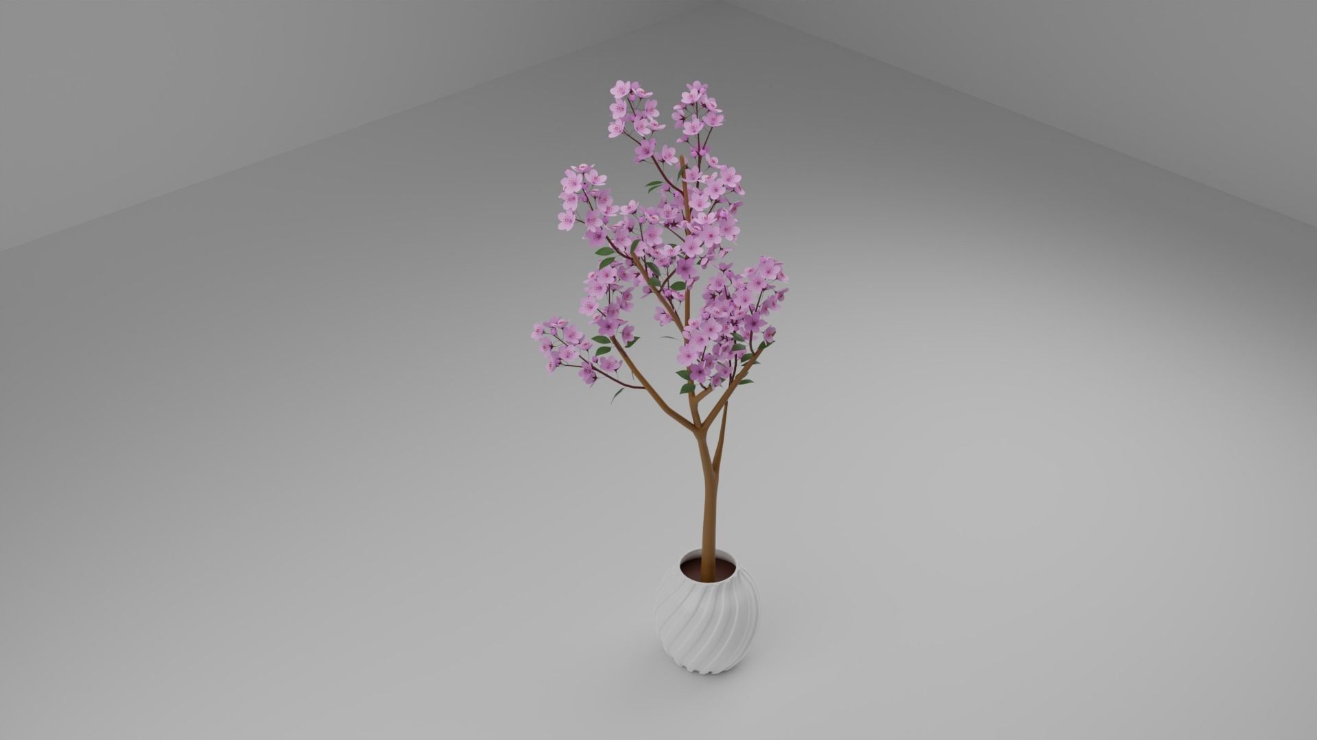 3D Cherry Blossom Tree 3D model | CGTrader