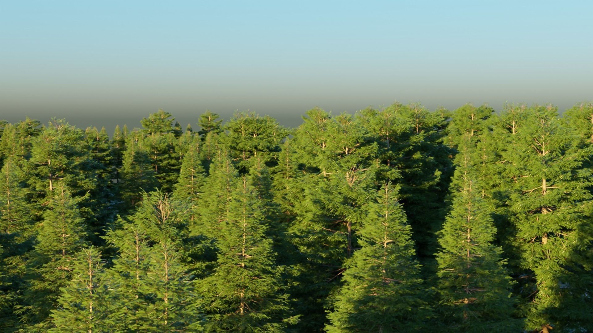 Spring Forest 3D model | CGTrader