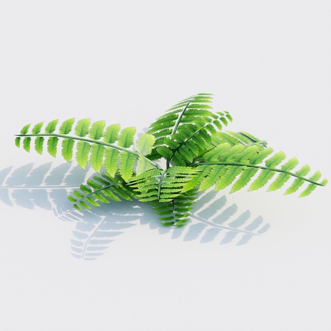 3D model Grass Fern Game Ready Low Poly VR / AR / low-poly | CGTrader