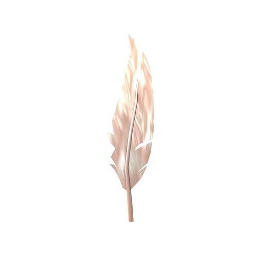 3D model Feathers v1 012 VR / AR / low-poly | CGTrader