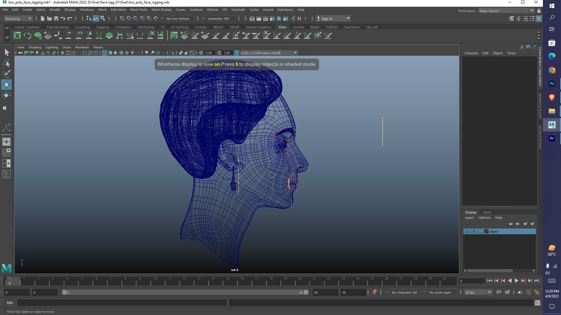 Human Face Rigg free 3D model rigged | CGTrader