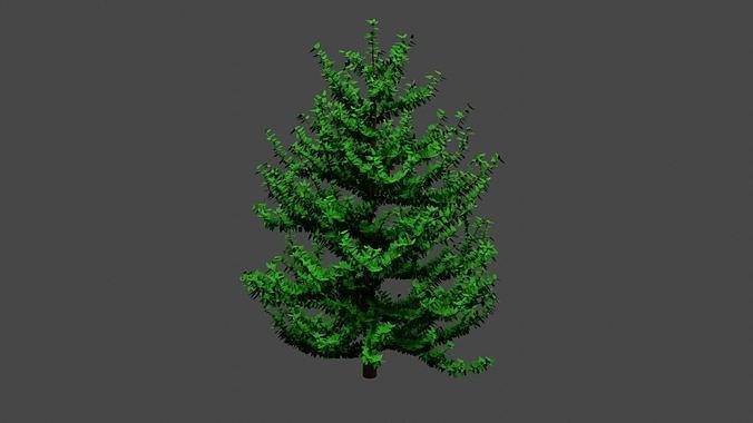 3D model 3D Tree VR / AR / low-poly | CGTrader