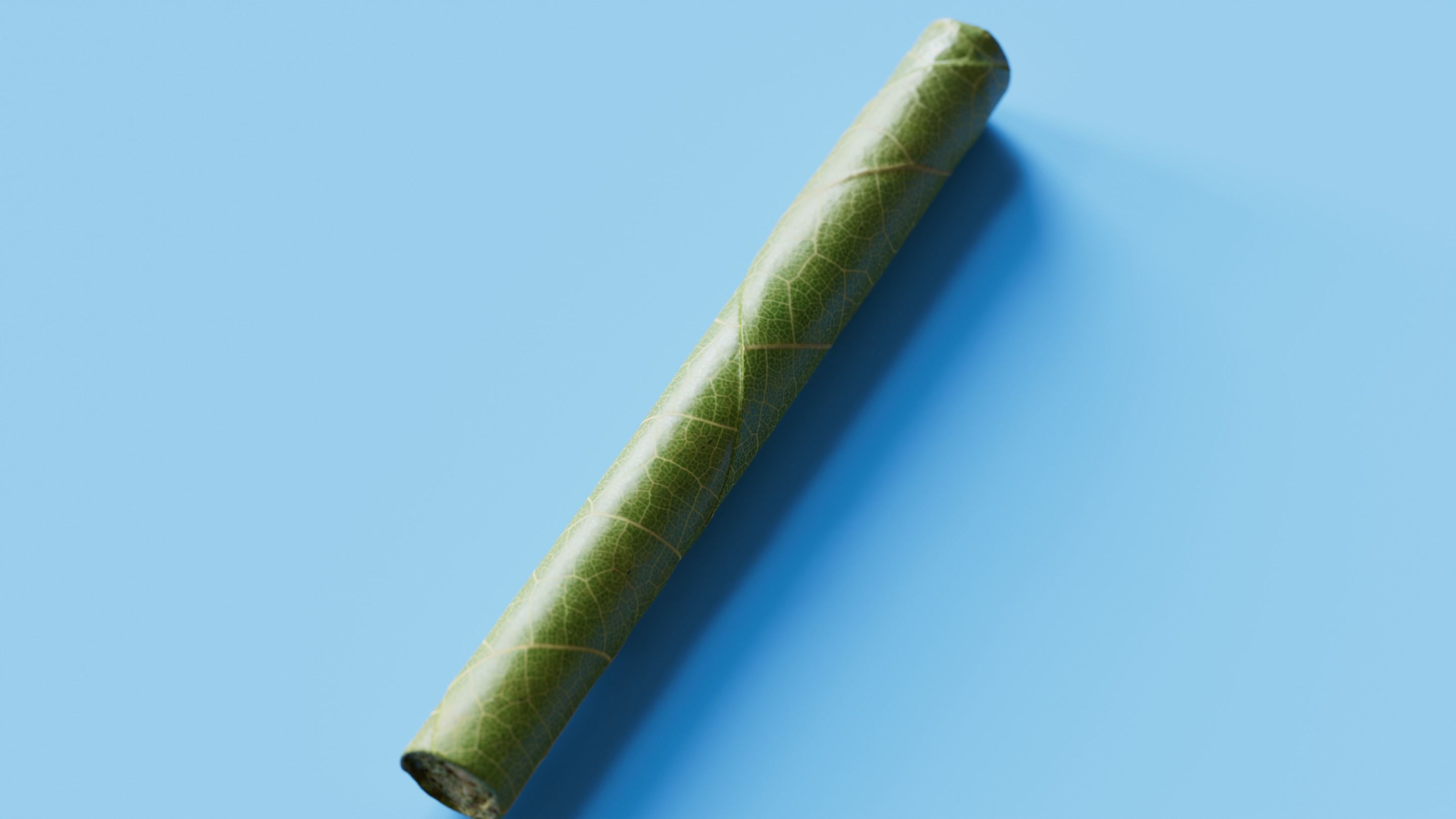 Palm Leaf Wrap Rolls Pre-Roll Tube 3D model | CGTrader