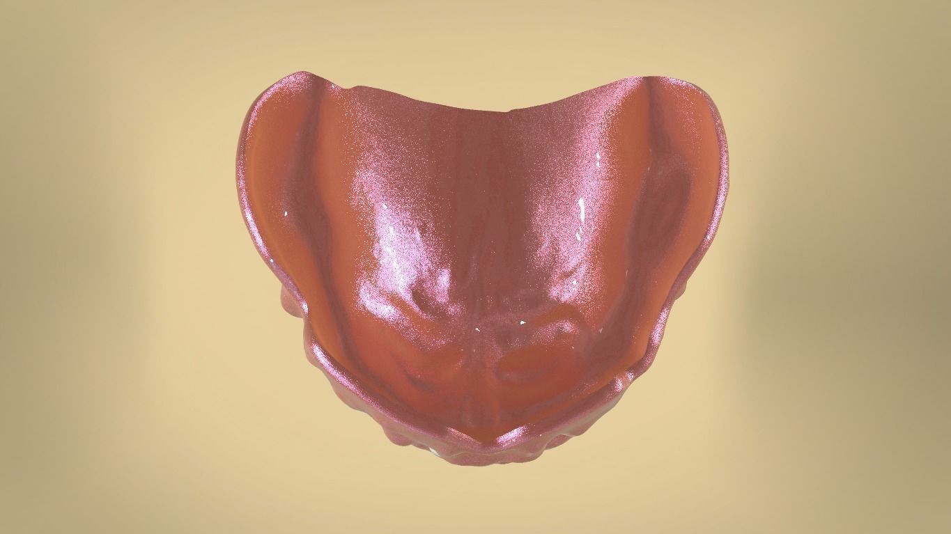 Digital Full Dentures 3D Model 3D printable STL - CGTrader.com
