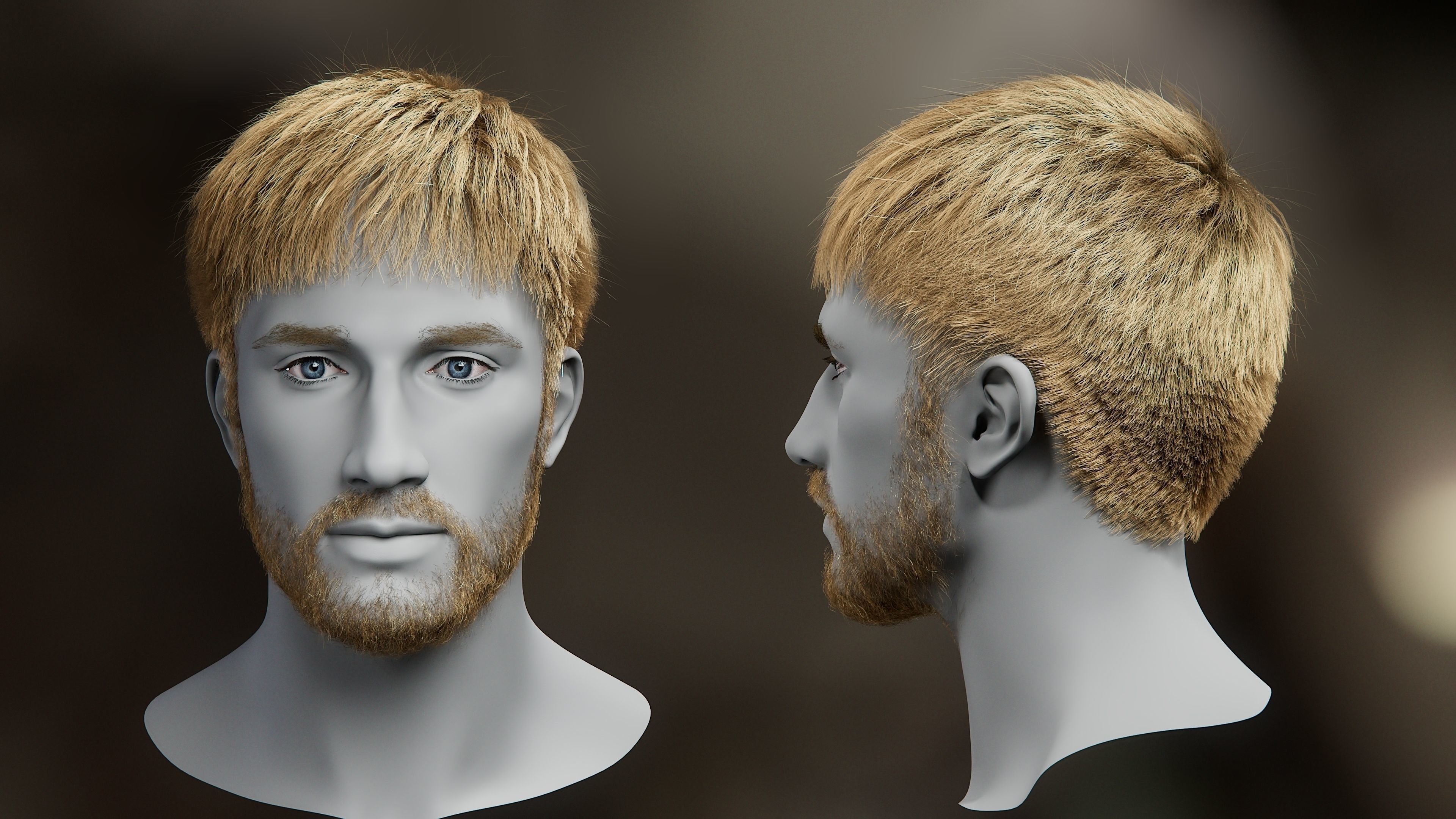 5 Hair Card VFX Grace 3D model animated rigged | CGTrader