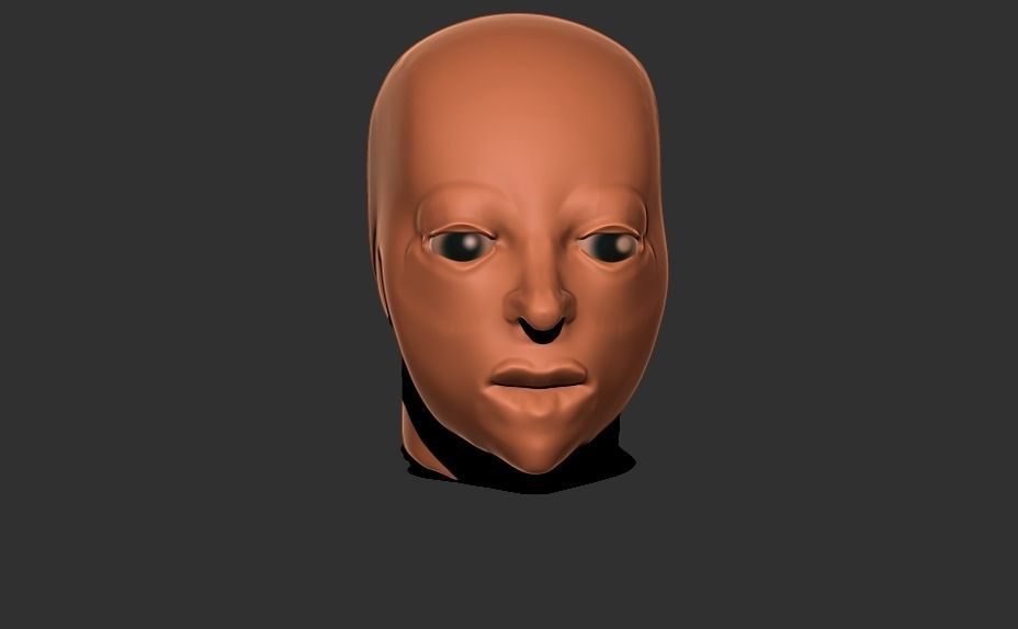 base head model zbrush 3D model | CGTrader