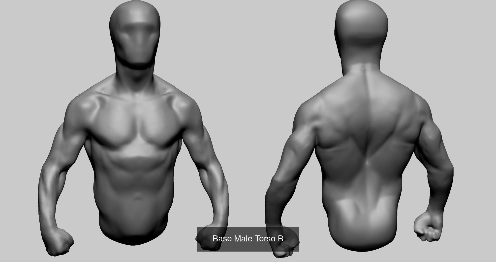 Male Torso Models B 3D Model Collection | CGTrader