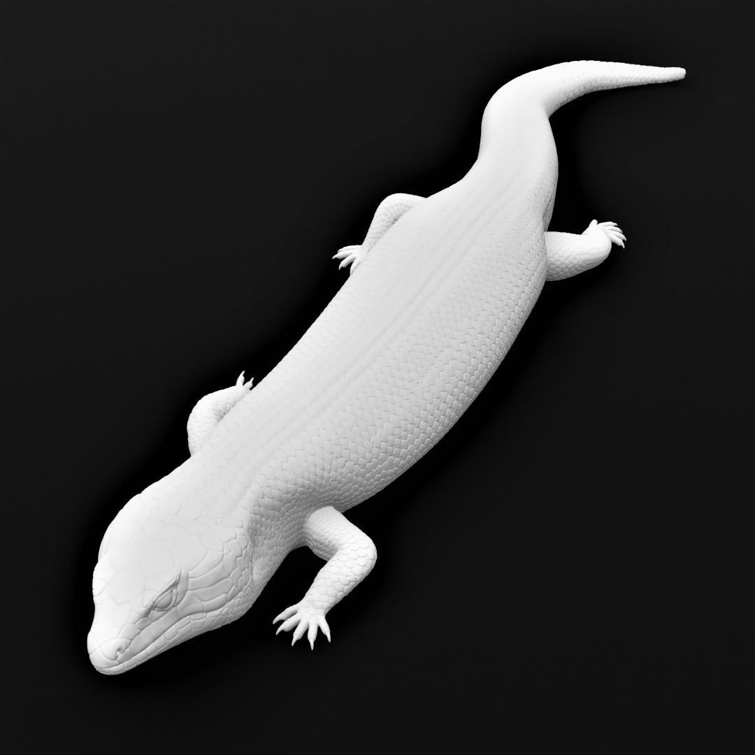 Blue Tongued Skink - Lizard Realistic Reptile 3d Print Model 3D model ...