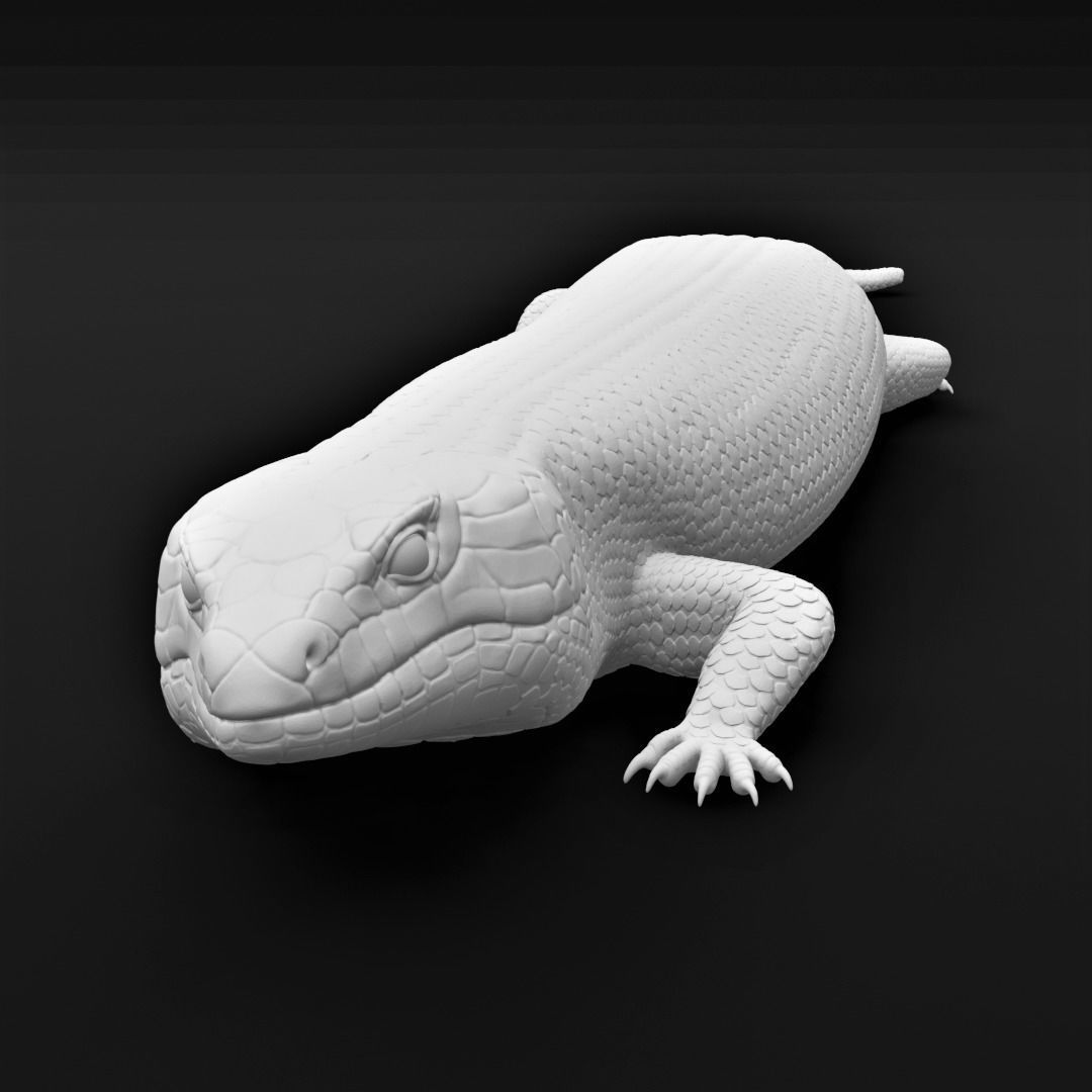 Blue Tongued Skink - Lizard Realistic Reptile 3d Print Model 3D model ...