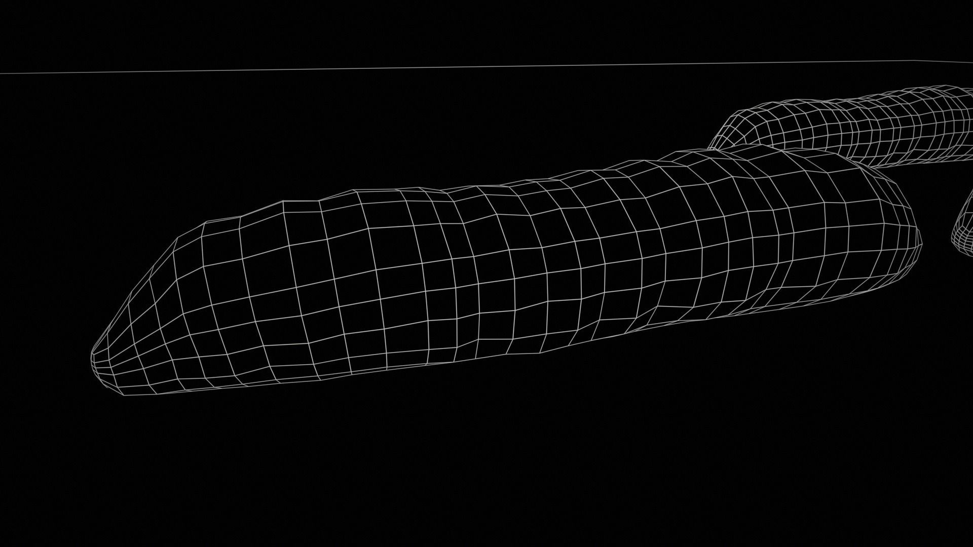 3D model Small worms 3d animated VR / AR / low-poly | CGTrader