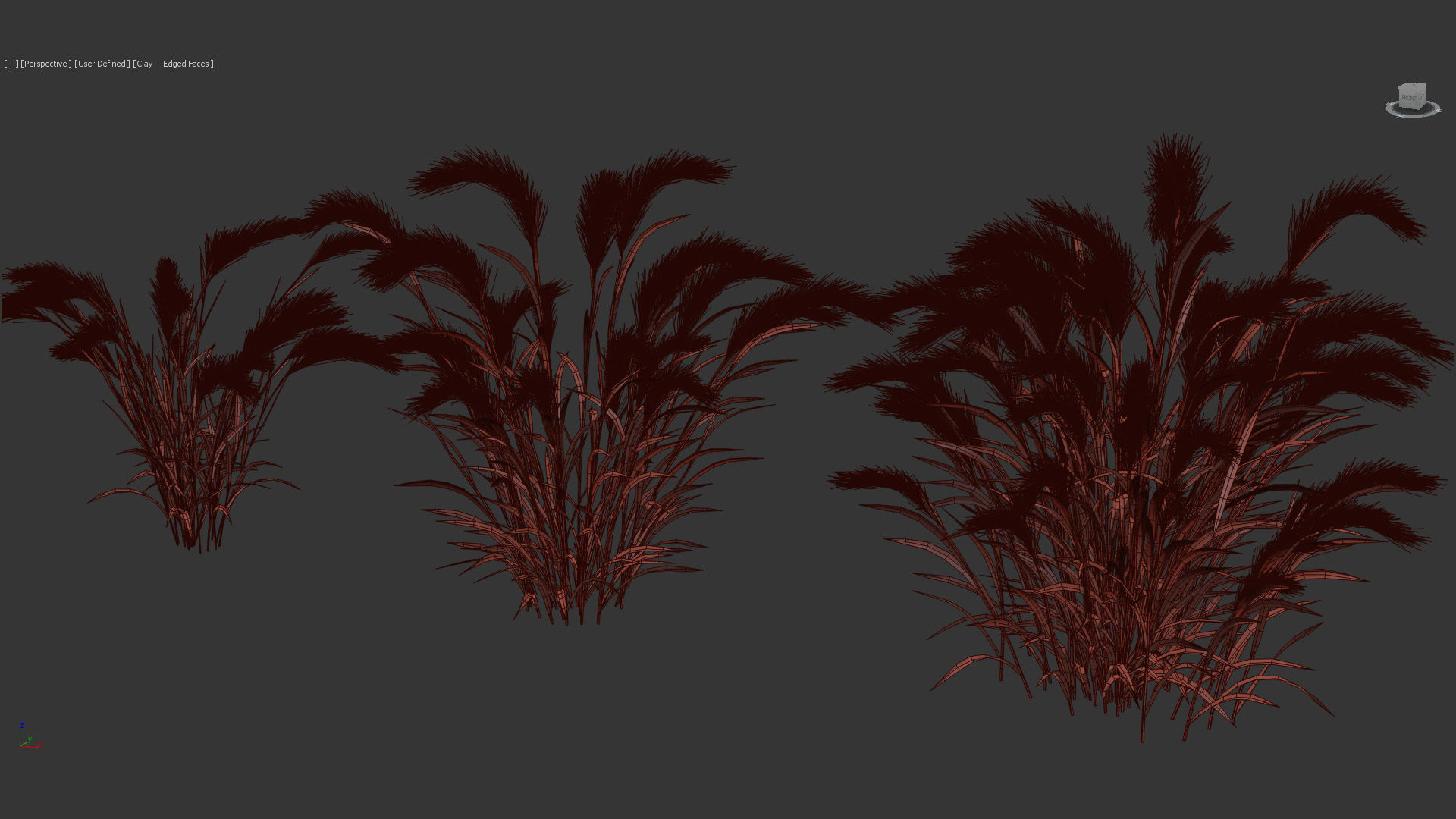 Hordeum jubatum Foxtail barley 3D Model 02 3D model | CGTrader