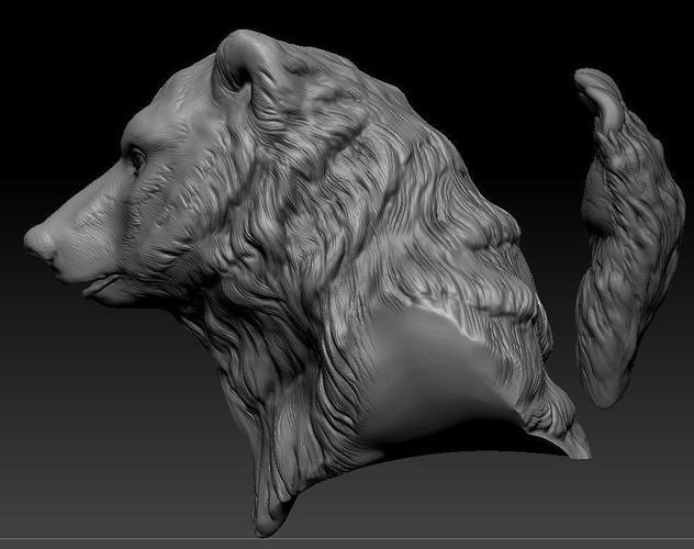 bear head and a paw 3D model 3D printable | CGTrader