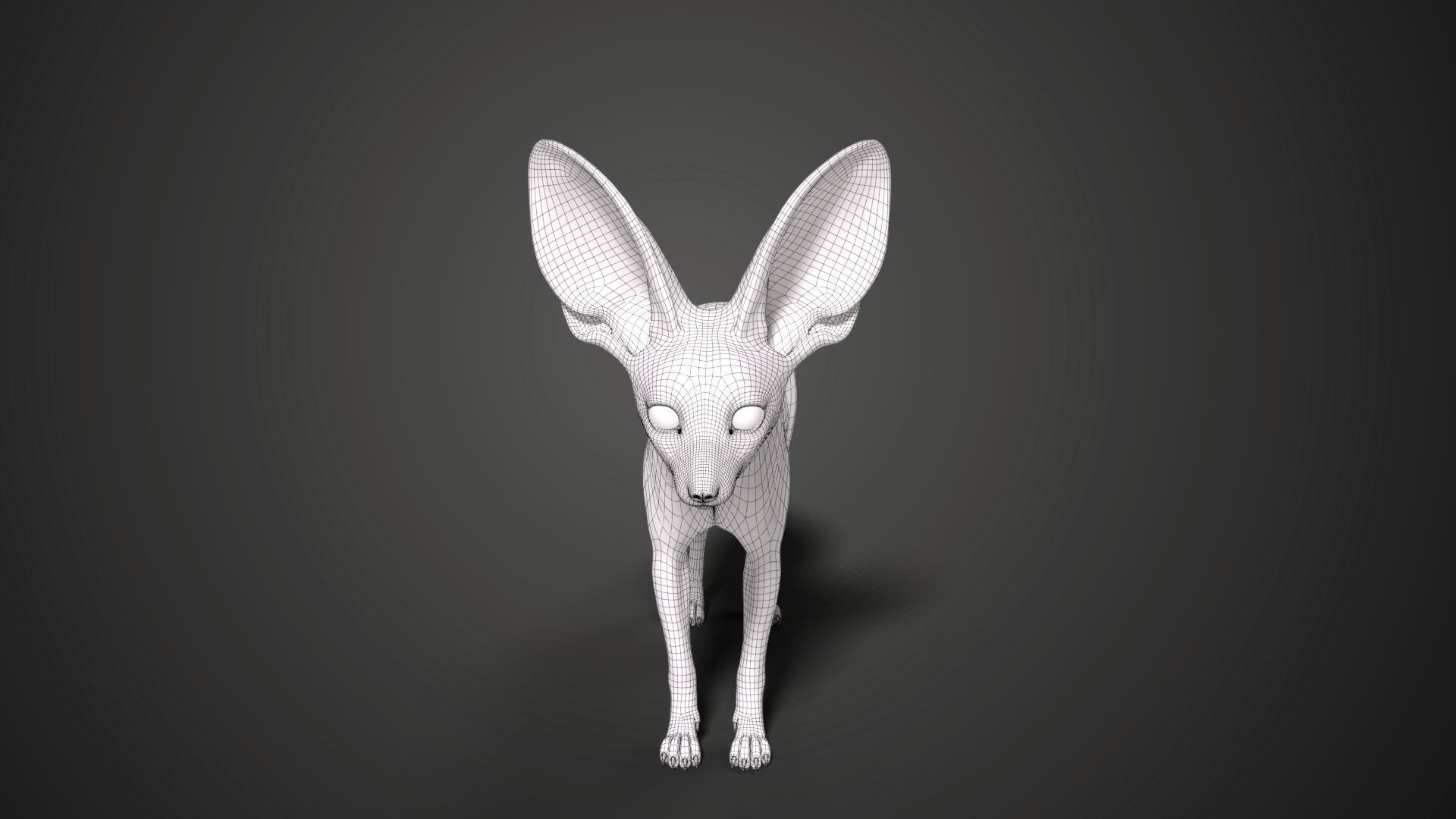 Fennec Fox Animated VFX Grace 3D model animated rigged | CGTrader