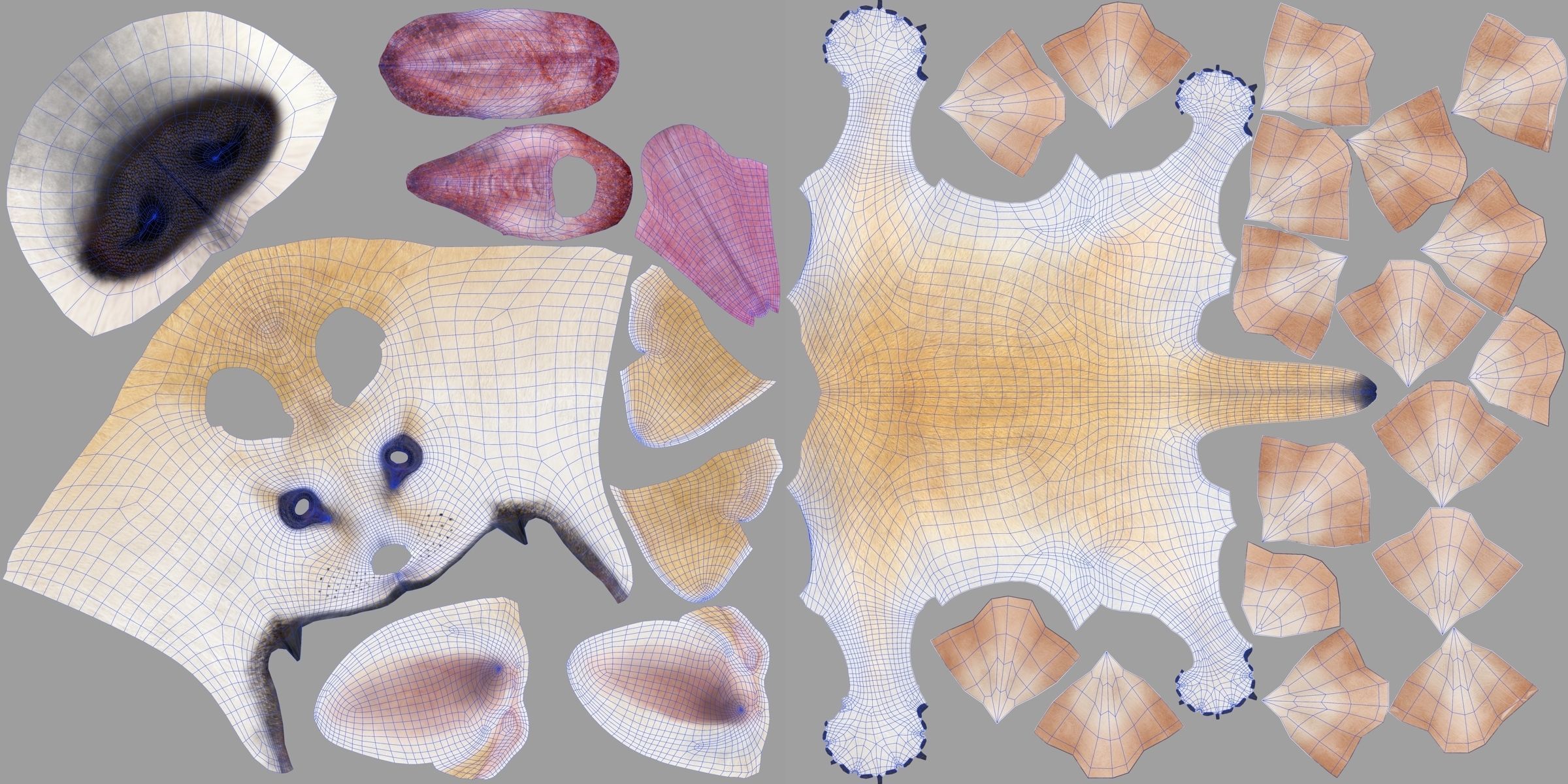 Fennec Fox Animated VFX Grace 3D model animated rigged | CGTrader