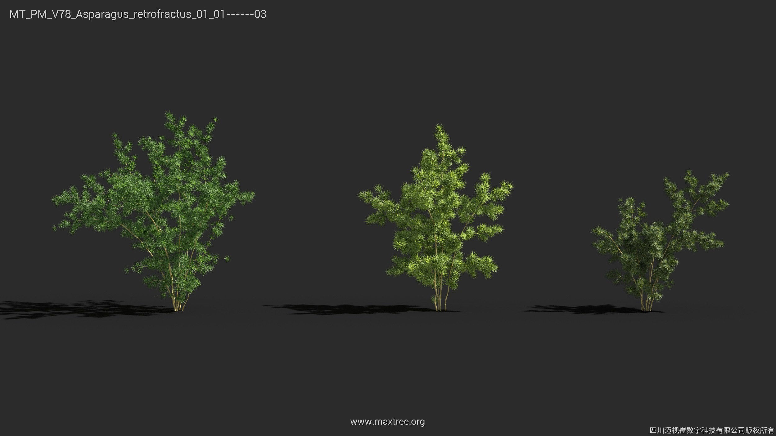 Maxtree Plant Models Vol 78 - Mesh 3D model | CGTrader