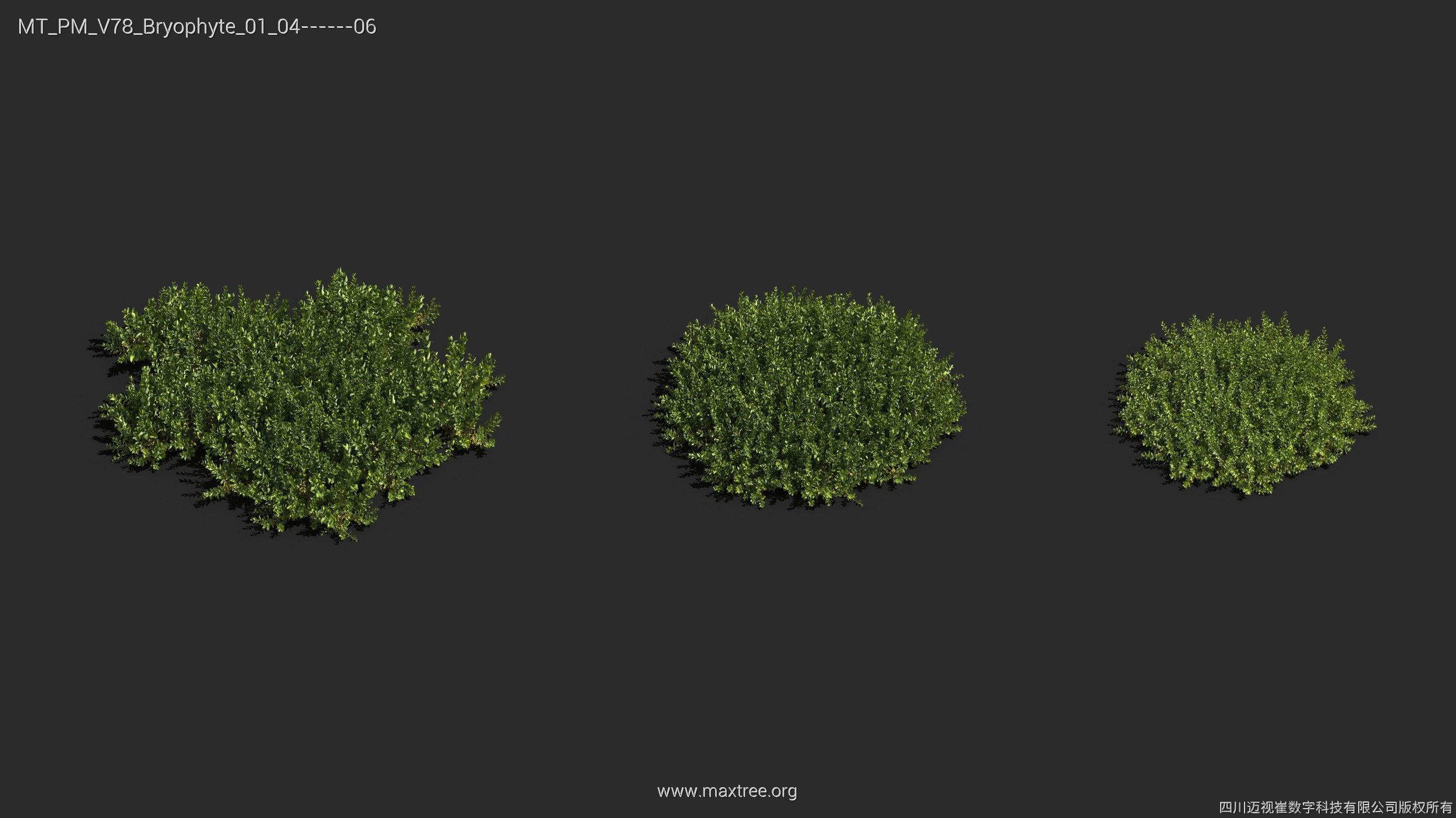 Maxtree Plant Models Vol 78 - Mesh 3D model | CGTrader