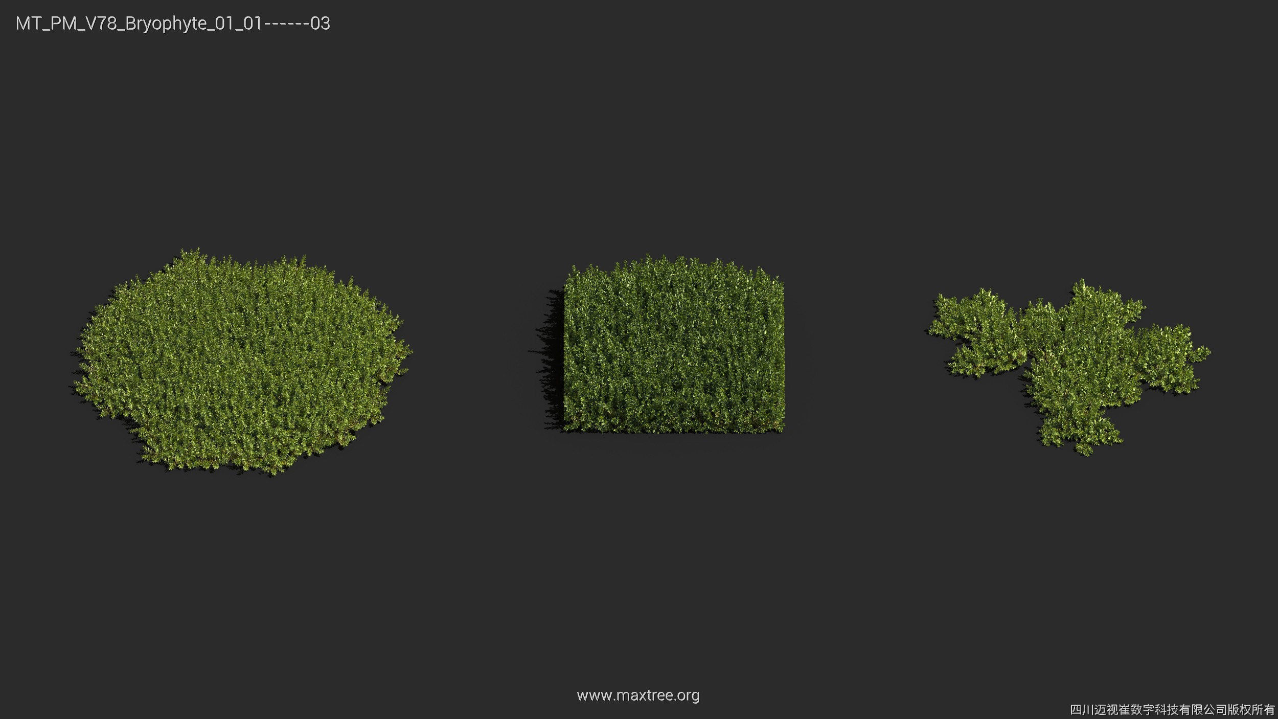 Maxtree Plant Models Vol 78 - Mesh 3D model | CGTrader