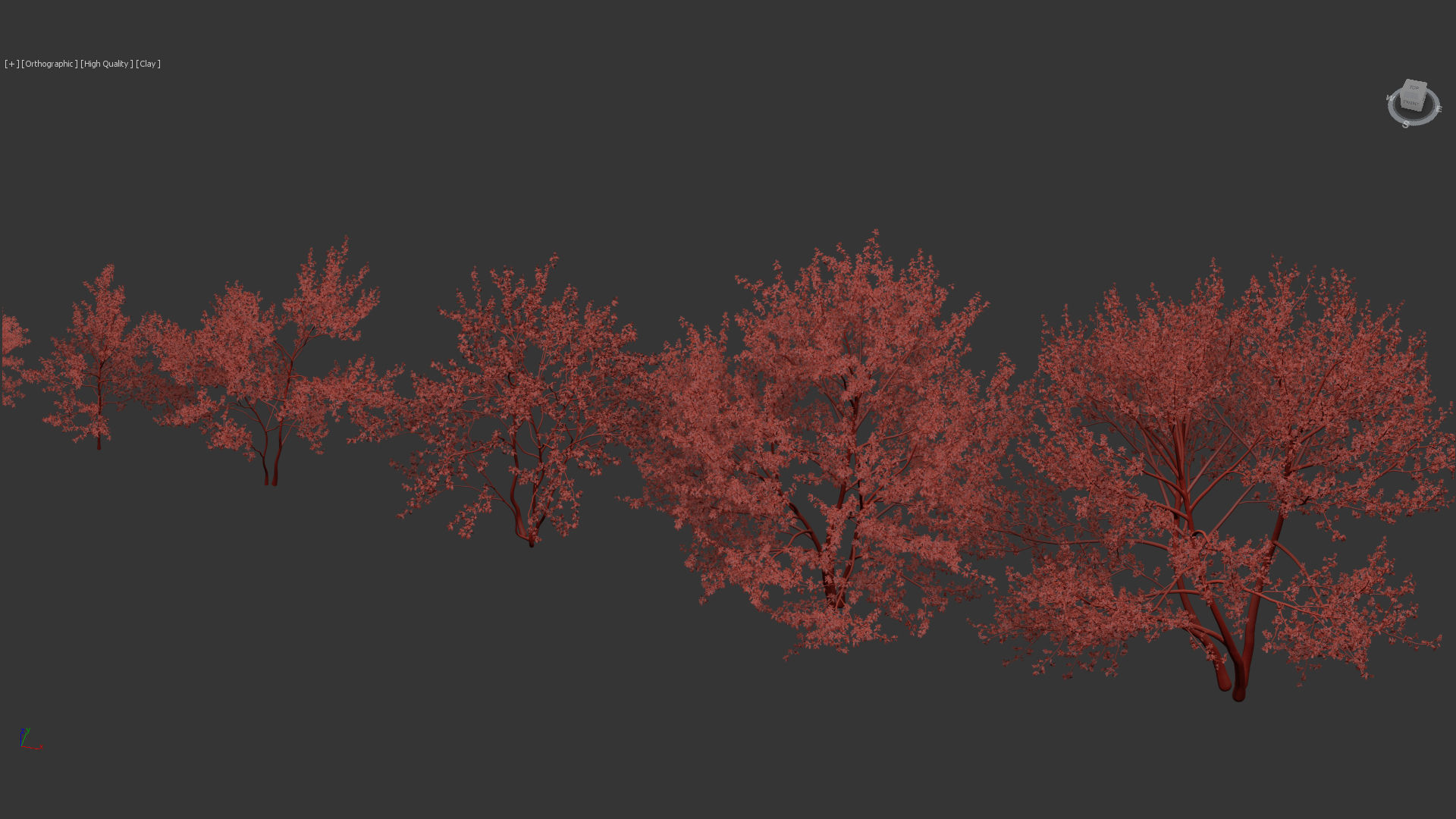Amelanchier lamarckii Juneberry 3D model | CGTrader