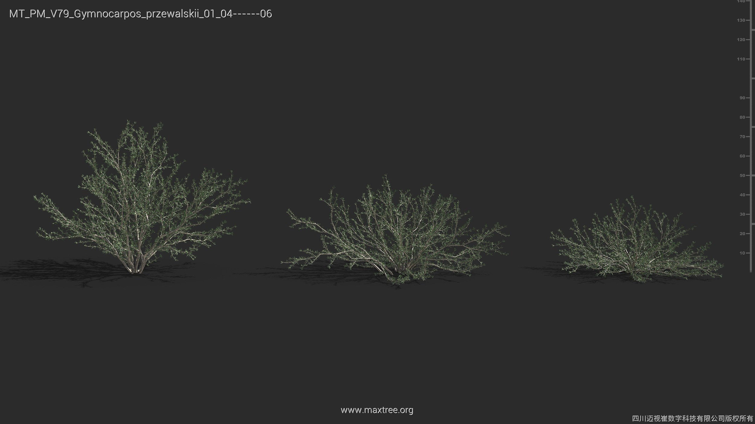 Maxtree Plant Models Vol 79 - Mesh 3D model | CGTrader