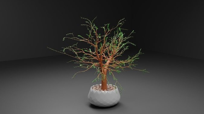 Bonsai Tree free VR / AR / low-poly 3D model | CGTrader