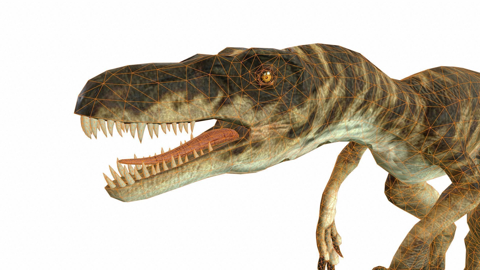 3D model Raptor VR / AR / low-poly | CGTrader