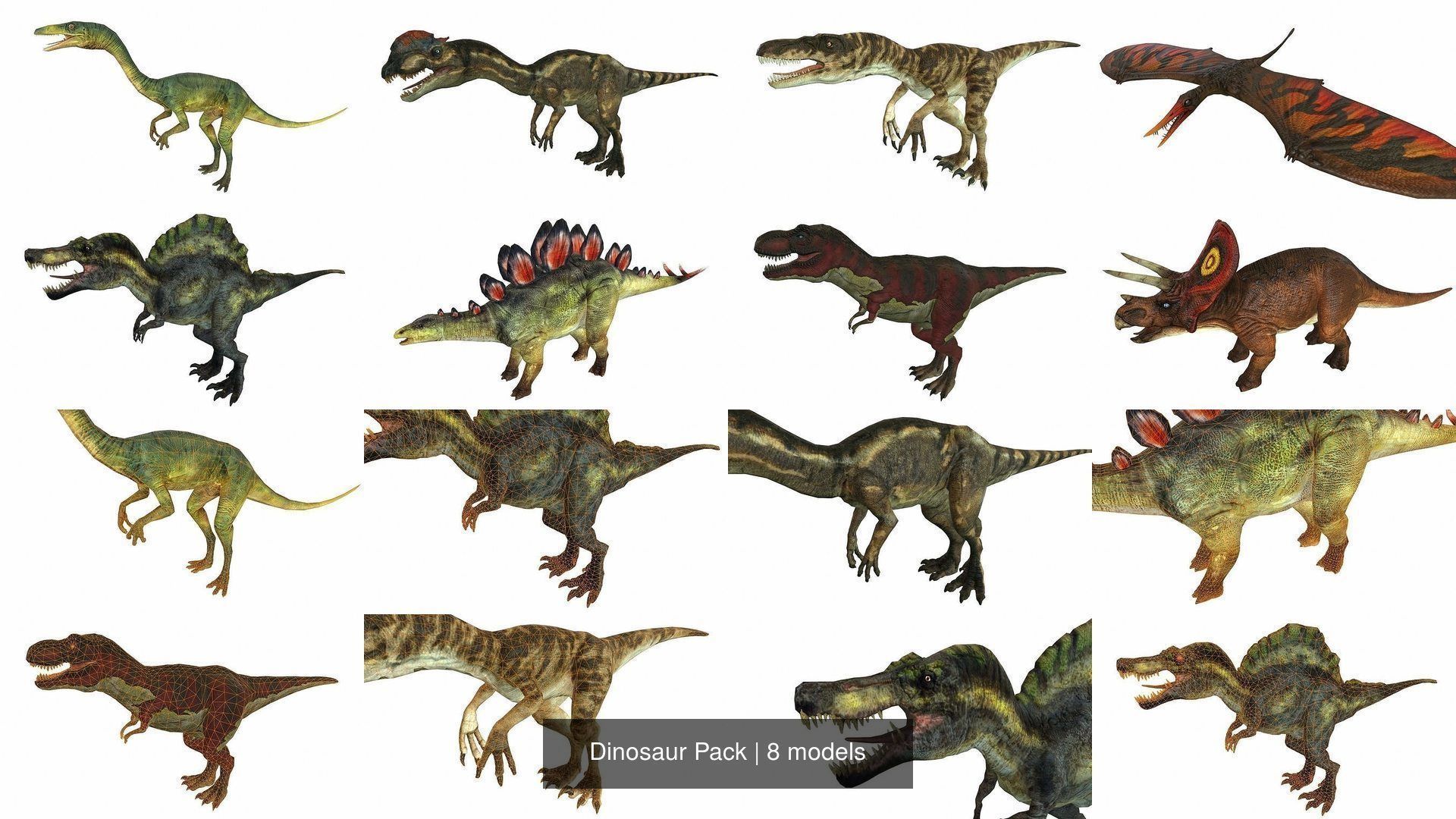 Dinosaur Pack 3D Model Collection | CGTrader