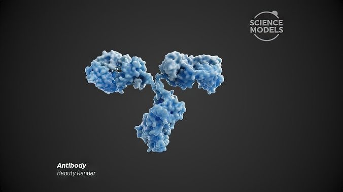 Antibody 3d
