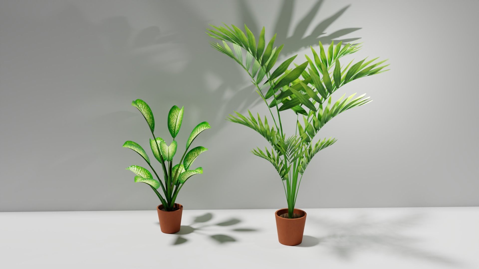 3D model Indoor Plants VR / AR / low-poly | CGTrader