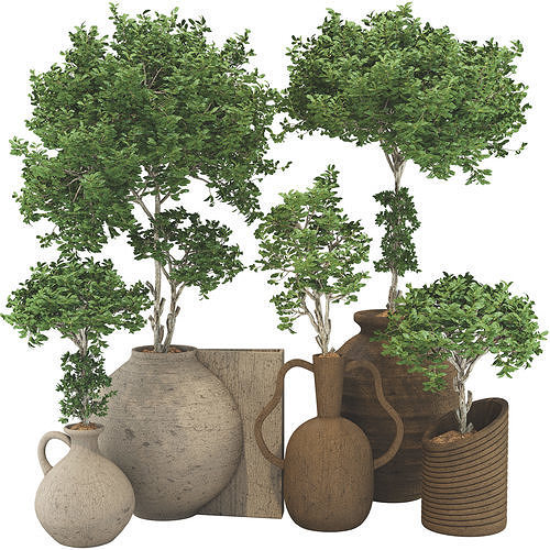 Decorative Tree in Wooden Pot 119 3D model | CGTrader